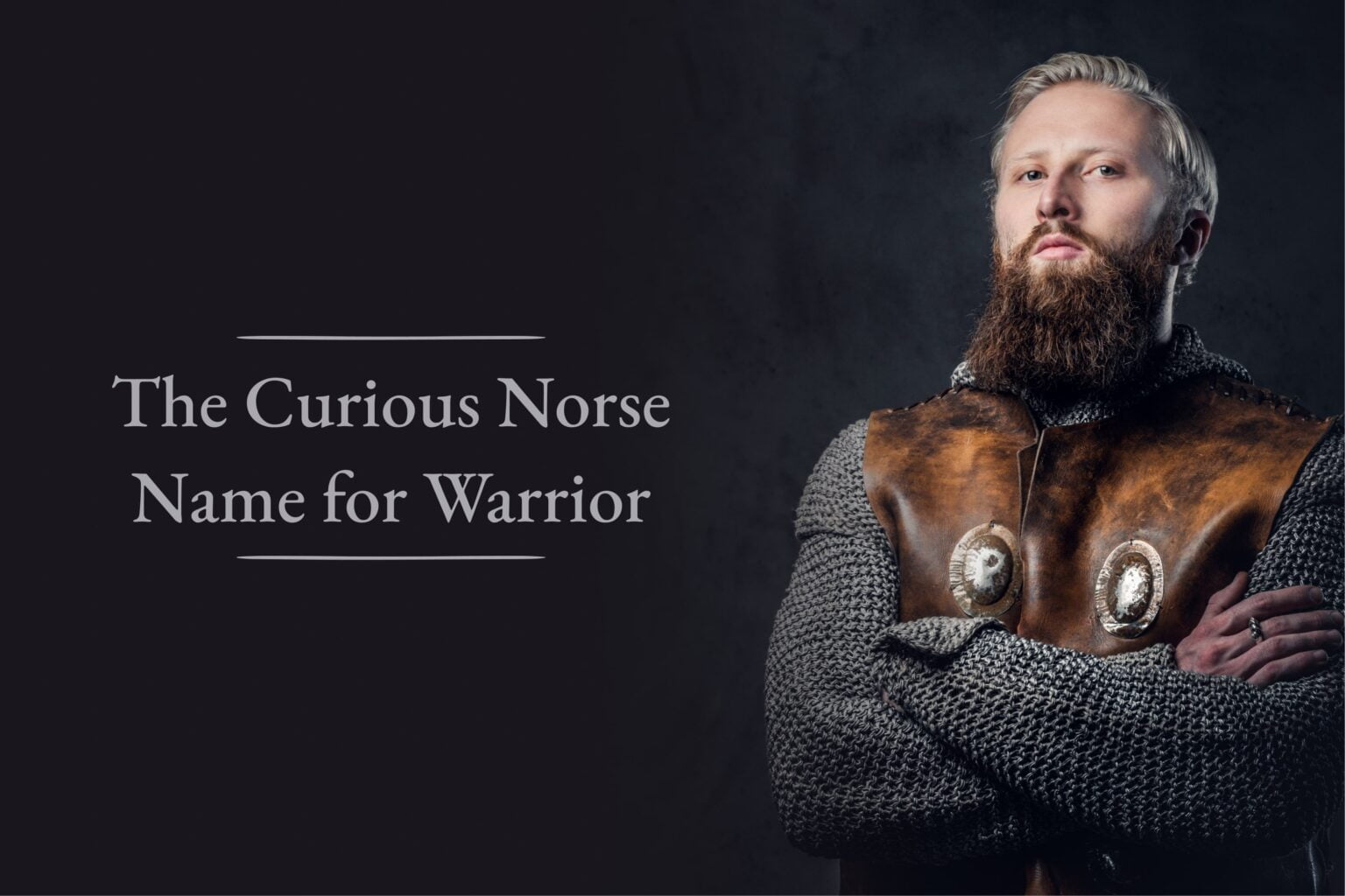 The Curious Norse Name for Warrior - Viking Style